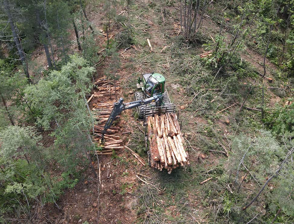 Exploitation forestière - Gestion forêt - Toulouse