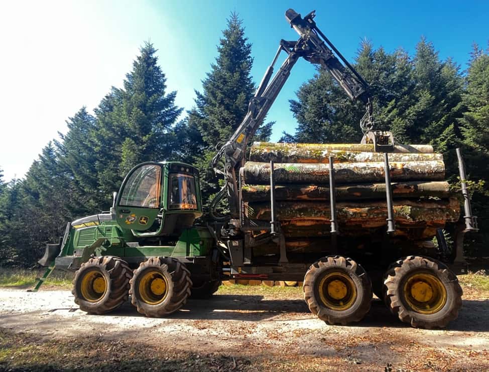 Exploitation forestière - Gestion forêt - Toulouse
