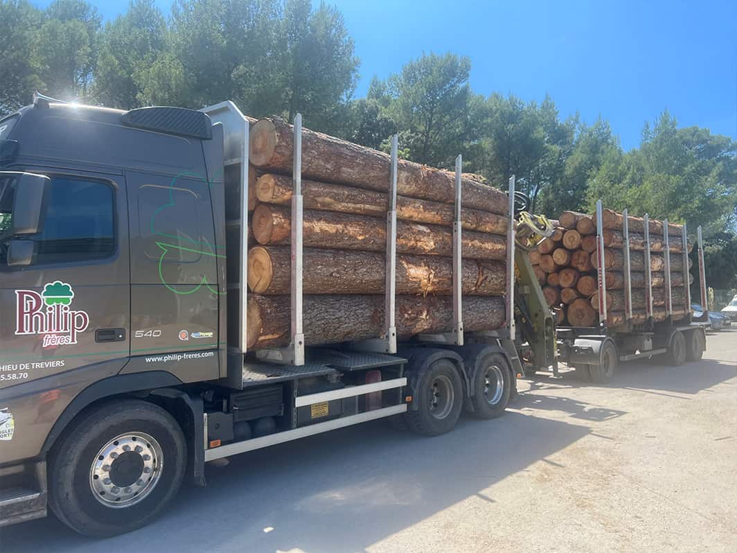 Exploitation forestière - Gestion forêt - Toulouse